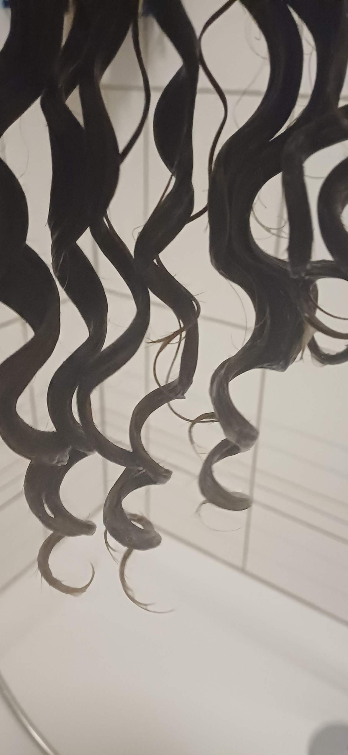 Porosity der Haare? (Pflege, Friseur, Haarpflege)