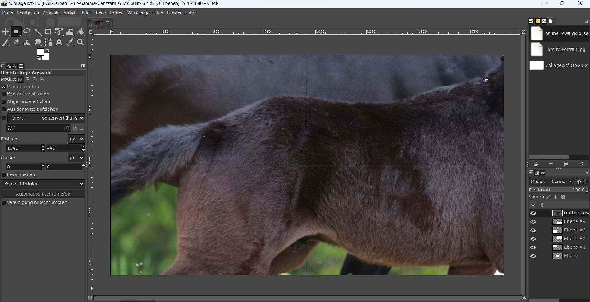 Probleme bei Gimp in Größe. Wie kann ich ein zu großes Bild an den Rahmen anpassen ...