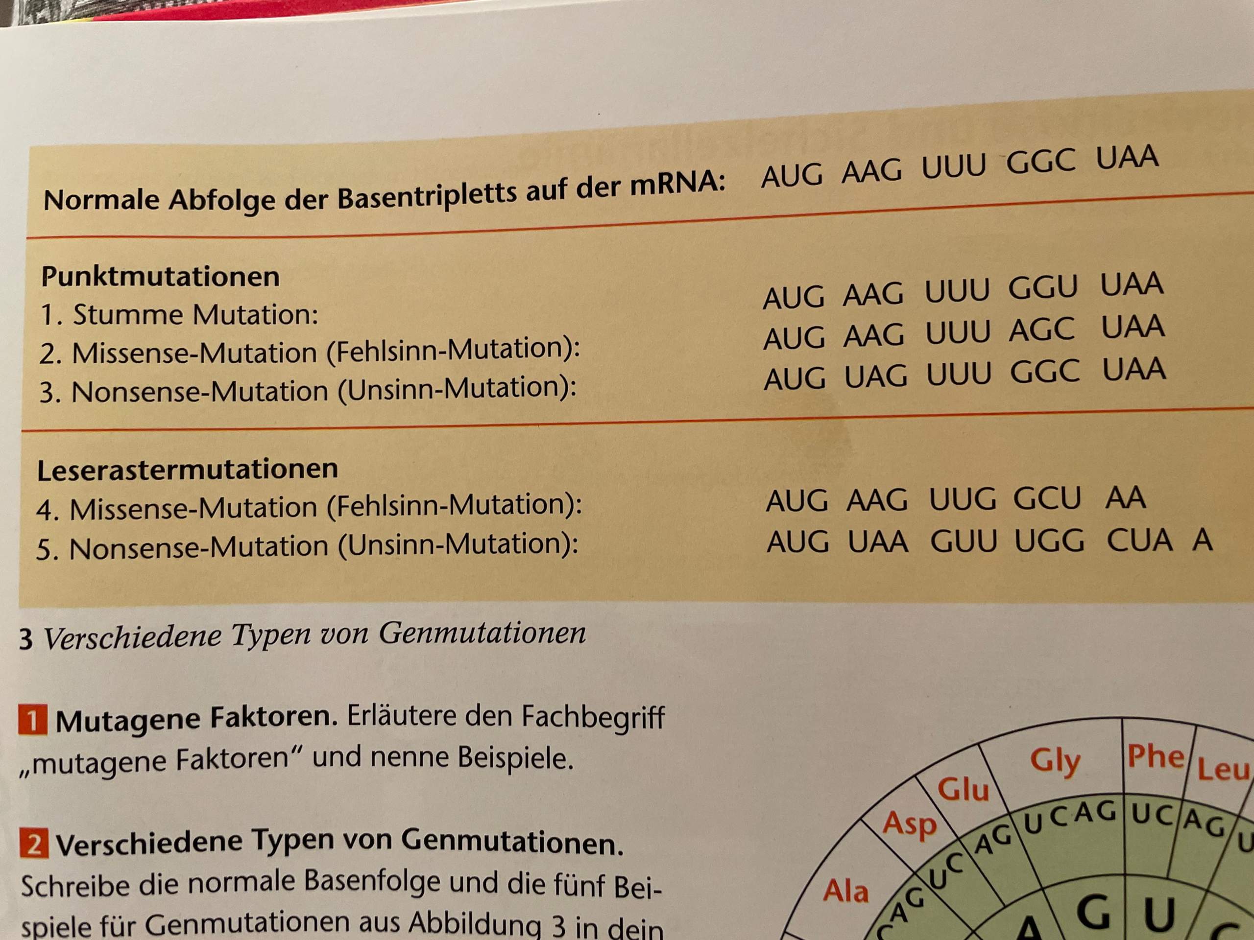 Punktmutation: Nonsense und Missense Unterschied? (Schule, Studium ...
