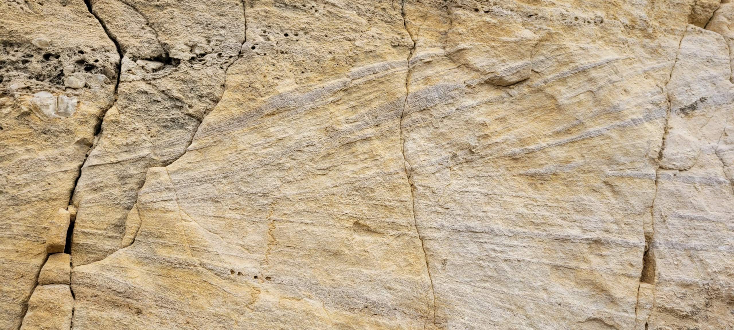 Radiale Struktur in Kalkstein? (Geografie, Geologie, Kalk)