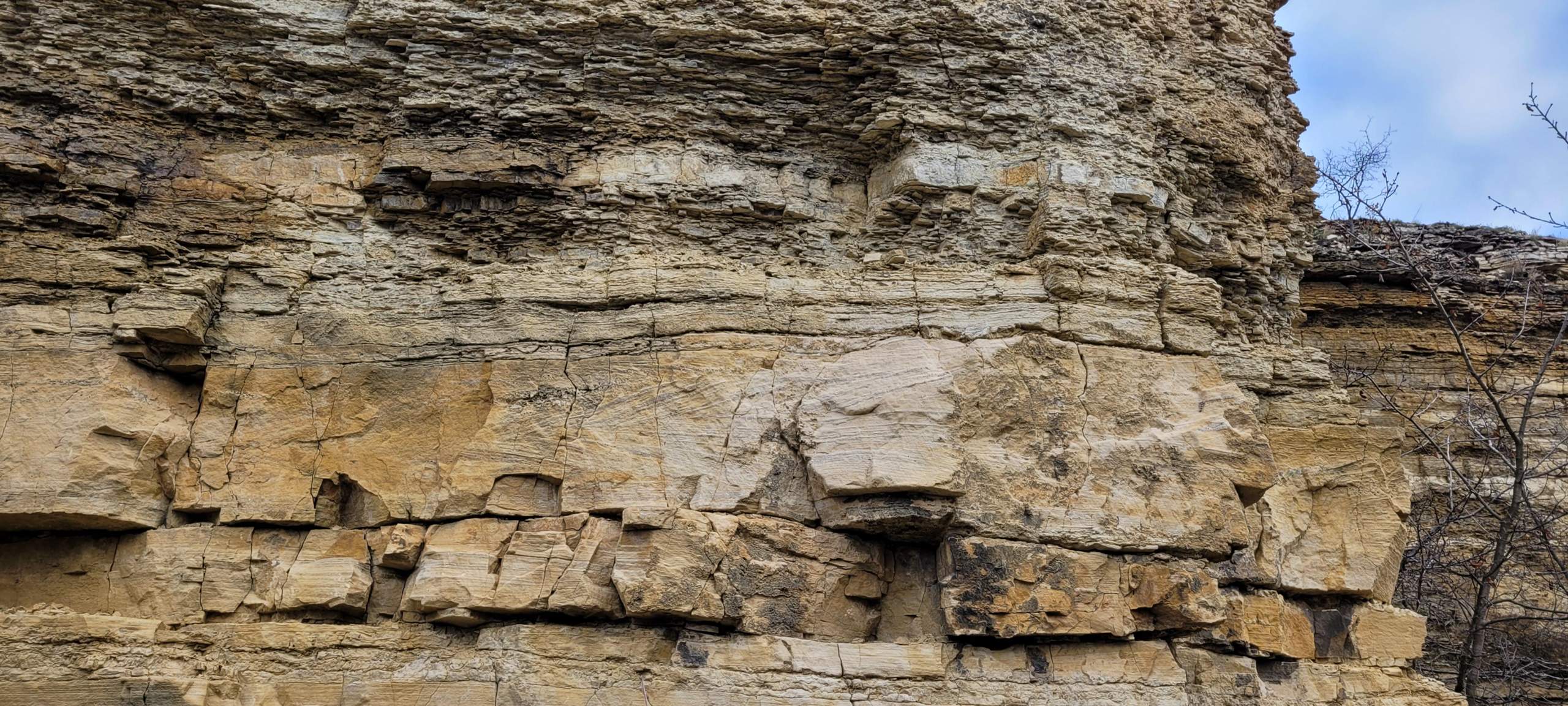 Radiale Struktur in Kalkstein? (Geografie, Geologie, Kalk)