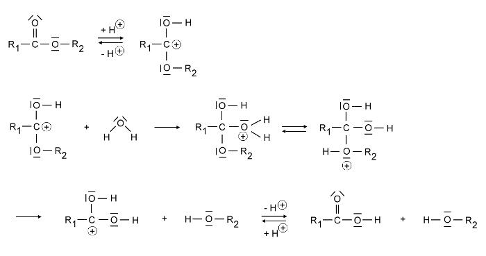 Reaktionsgleichung einer Hydrolyse? (Schule, Chemie, Universität)