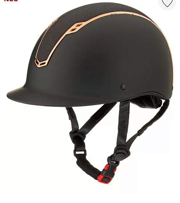 Reithelm? (Pferd, Reiten, Sicherheit)