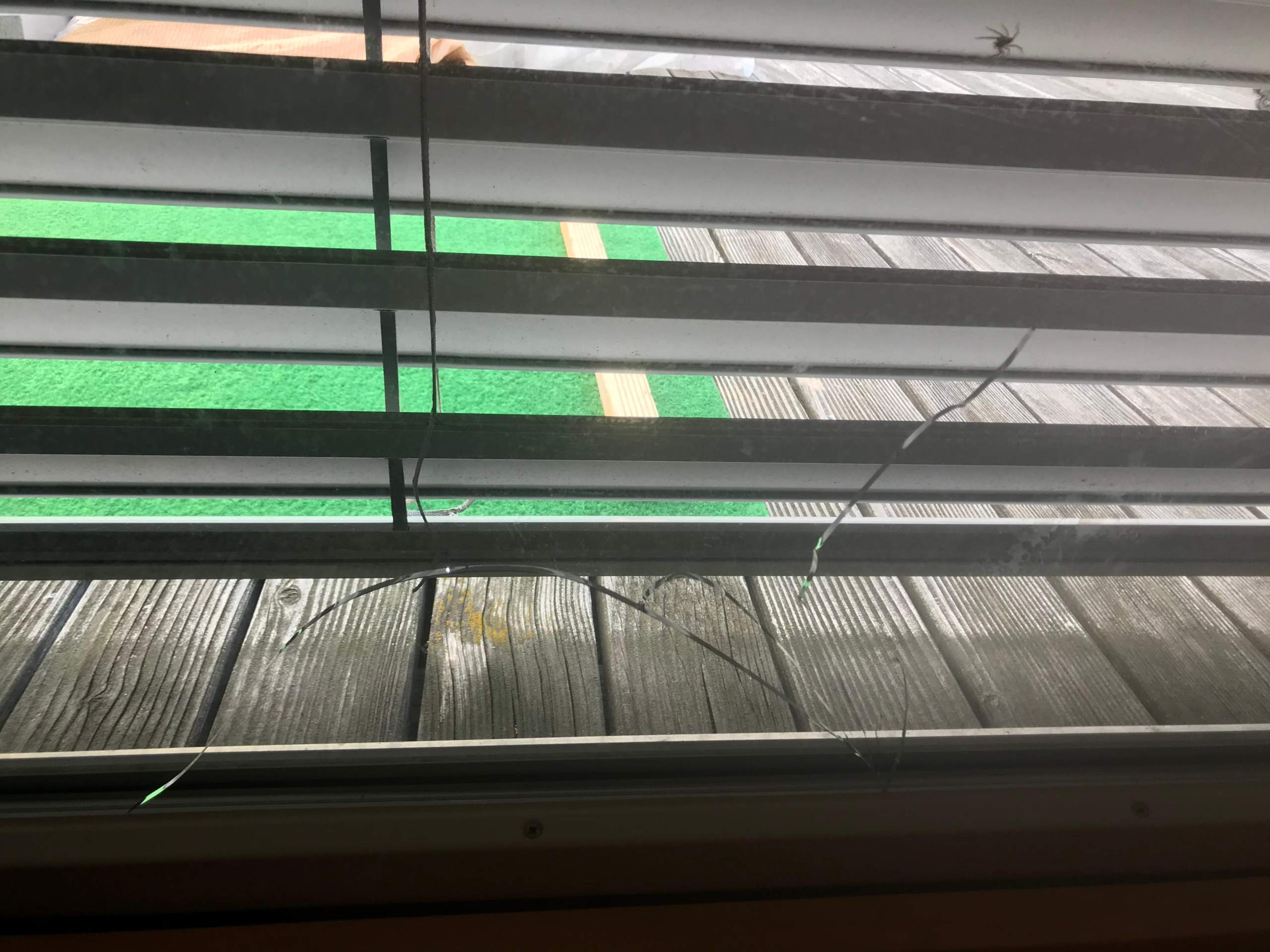 Riss im Fenster? (Reparatur, kaputt, Architektur)