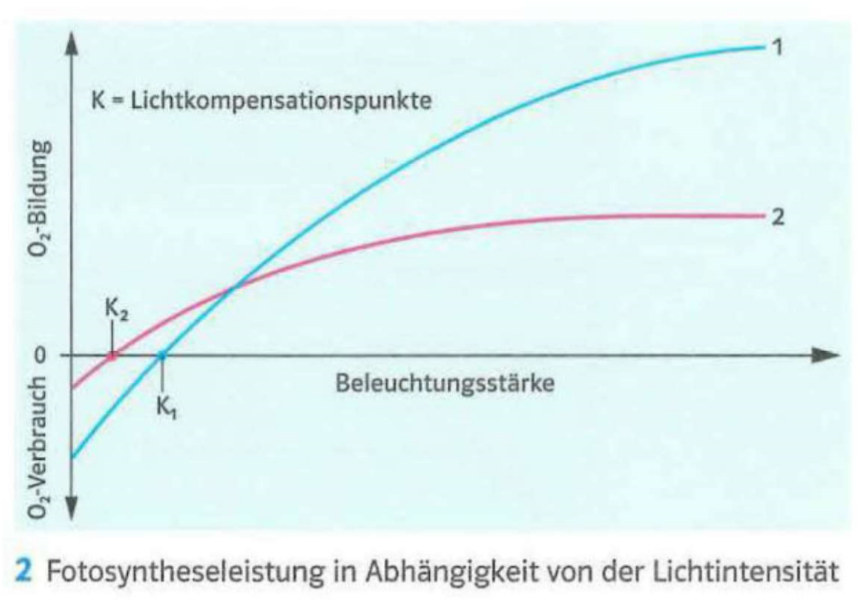 Schattenblatt & Sonnenblatt Diagramm -> Kurven? (Physik, Biologie ...