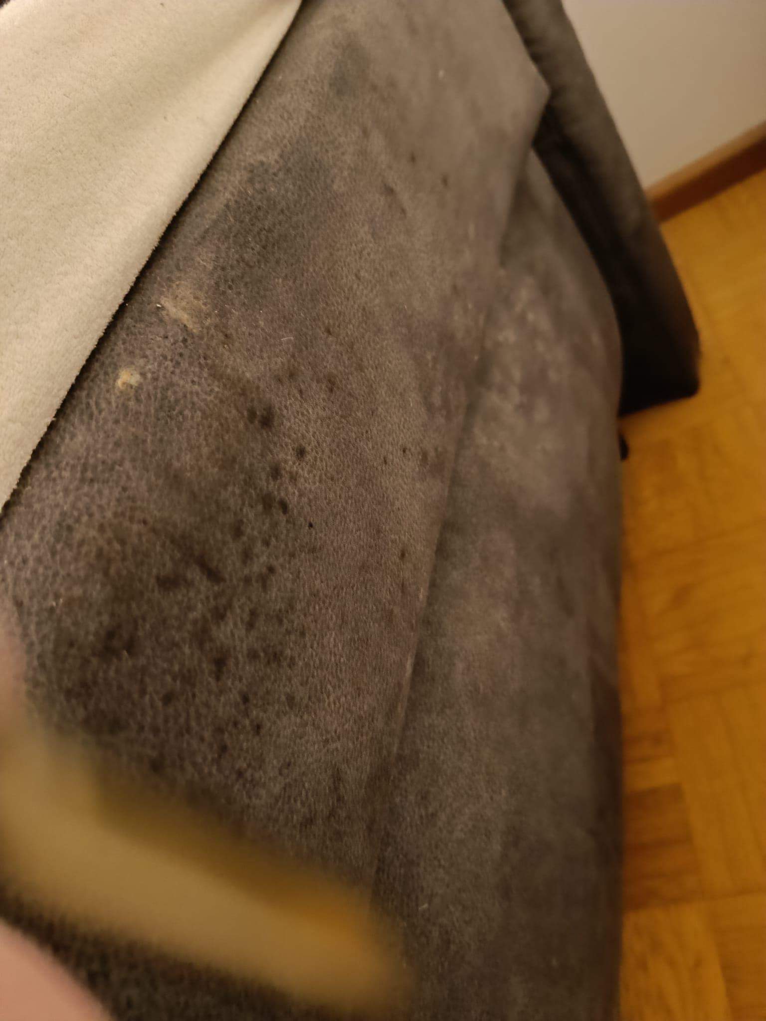 Stilvolle Schimmel Am Bett Bilder