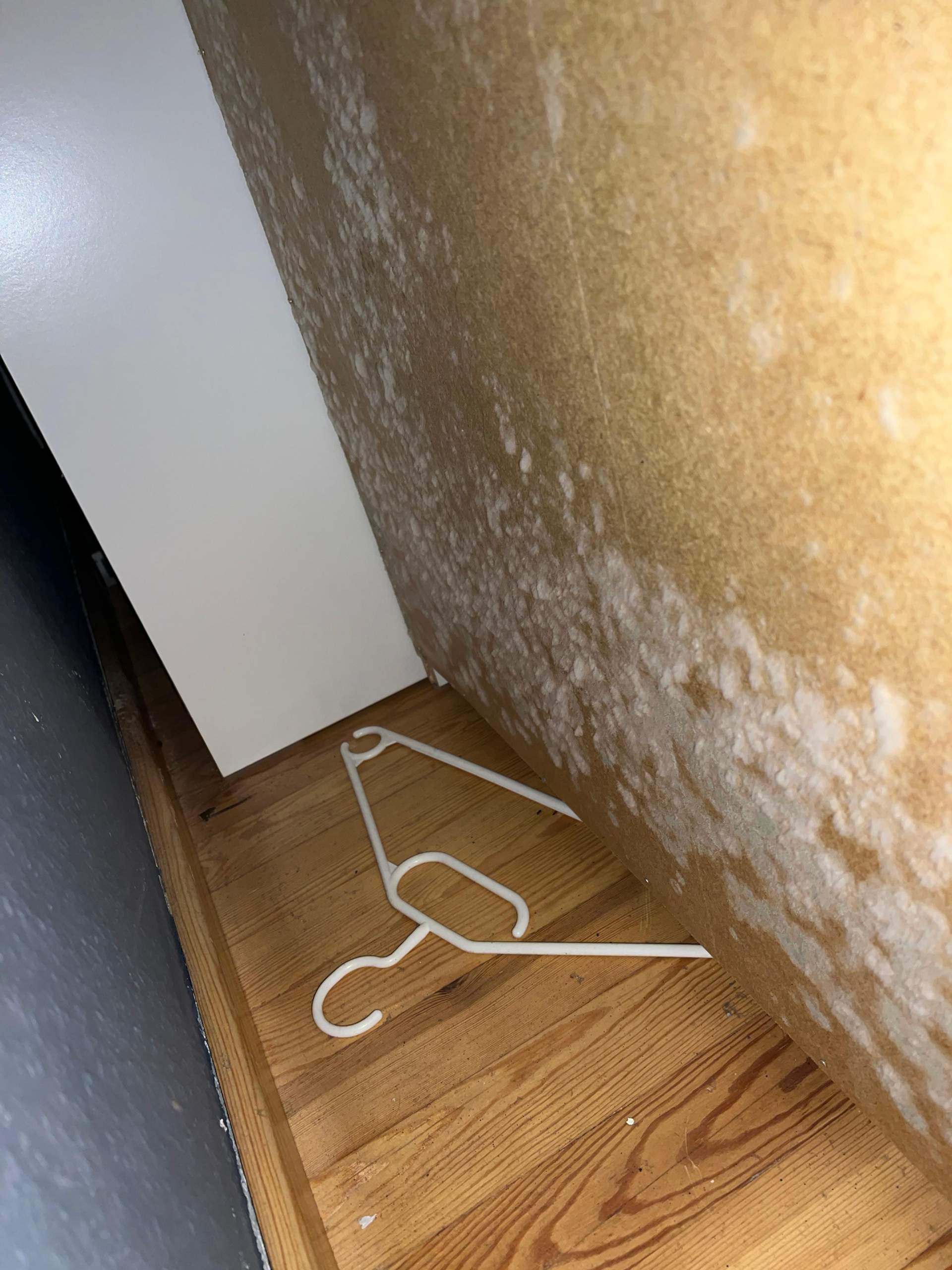 Schimmel hinter der Kommode? (Wand, IKEA, Schimmelpilz)