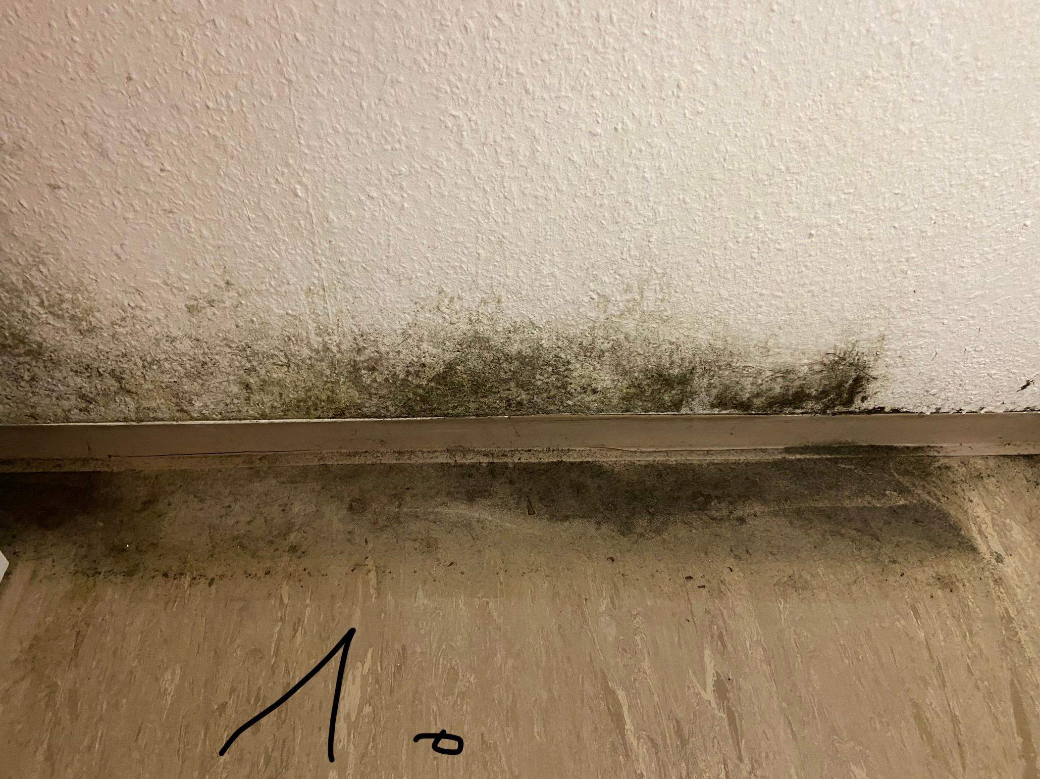 Schimmel Im Schlafzimmer Gesundheit