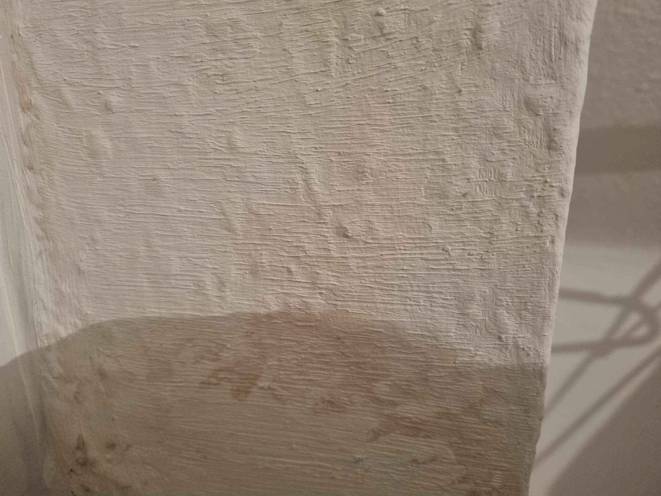 Schimmelbefall wie gehe ich vor? (Wohnung, Haushalt, Schimmel)