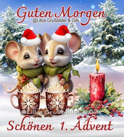 Schönen Guten Morgen heute zum Sonntag und 1. Advent. Wenn ihr mal mit ...