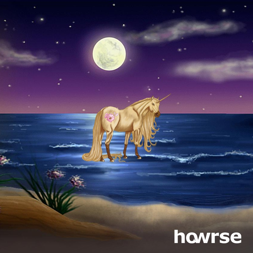 Schönheitswettbewerb bei Howrse ( Goldener Apfel )? (Spiele, Pferd, gut)