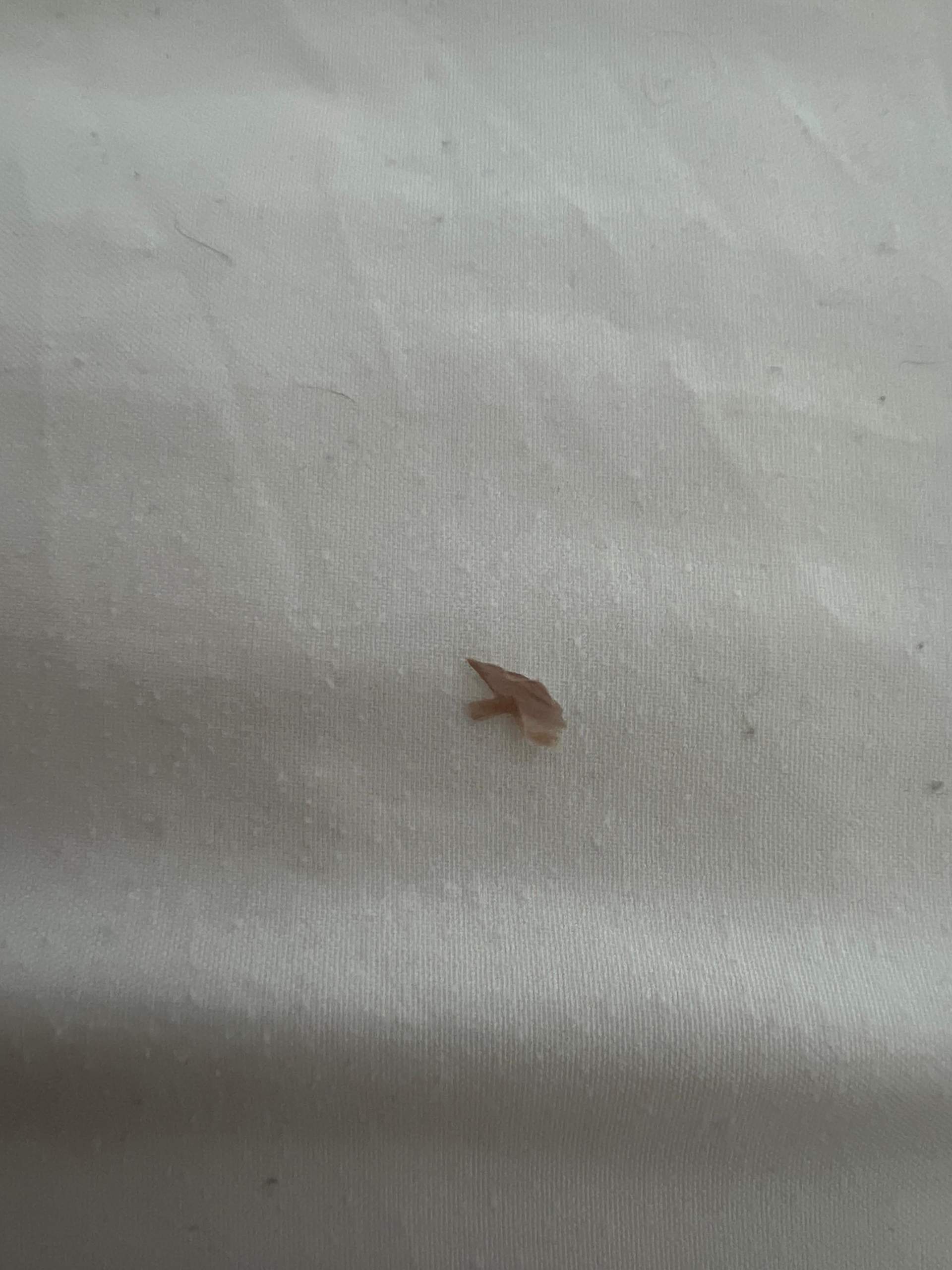 Schon öfter in Instant Suppe gefunden, was ist es? (asiatisches Essen ...