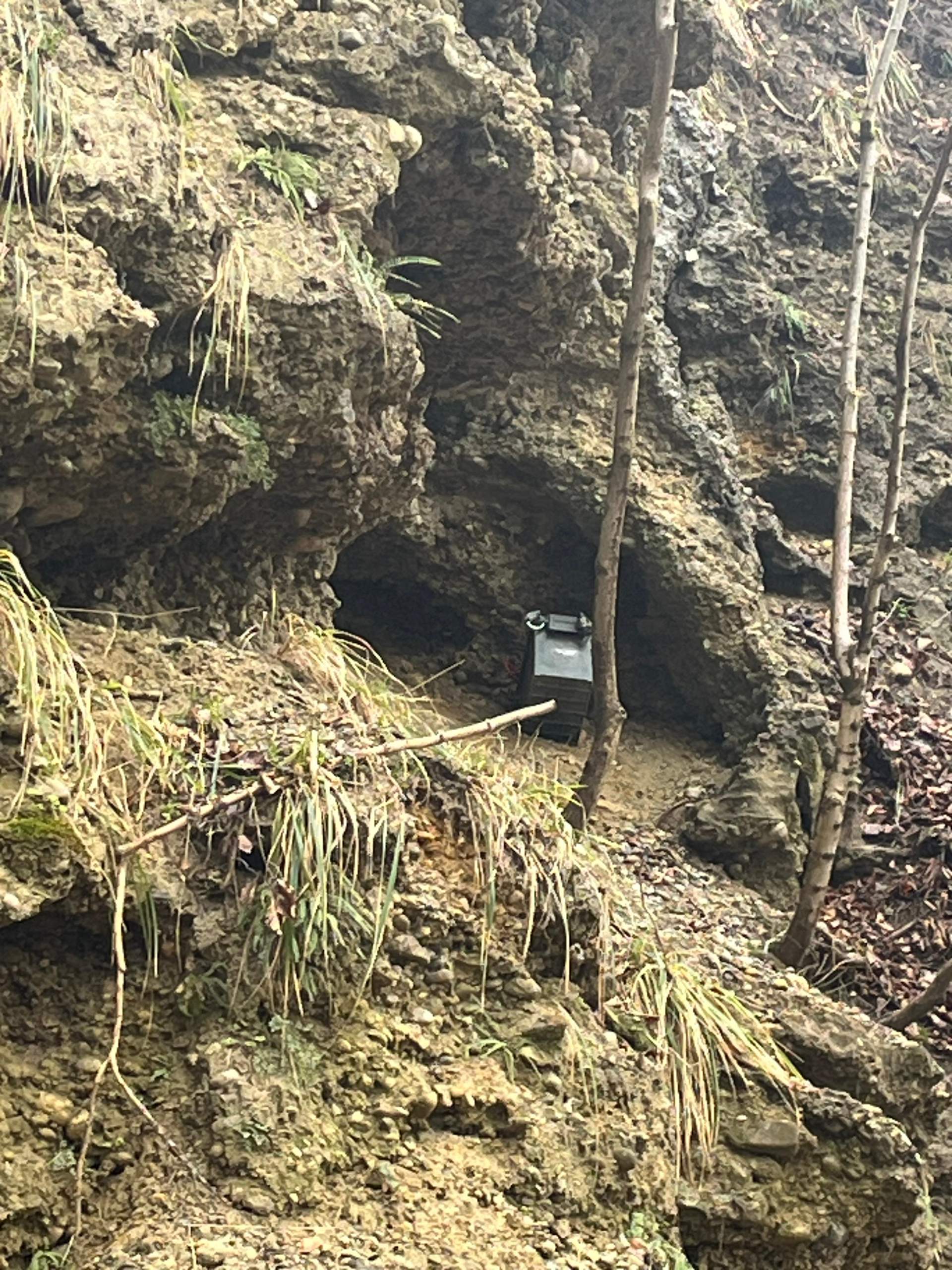 Schwarze Kiste im Wald gefunden - was könnte das sein? (Jagd ...