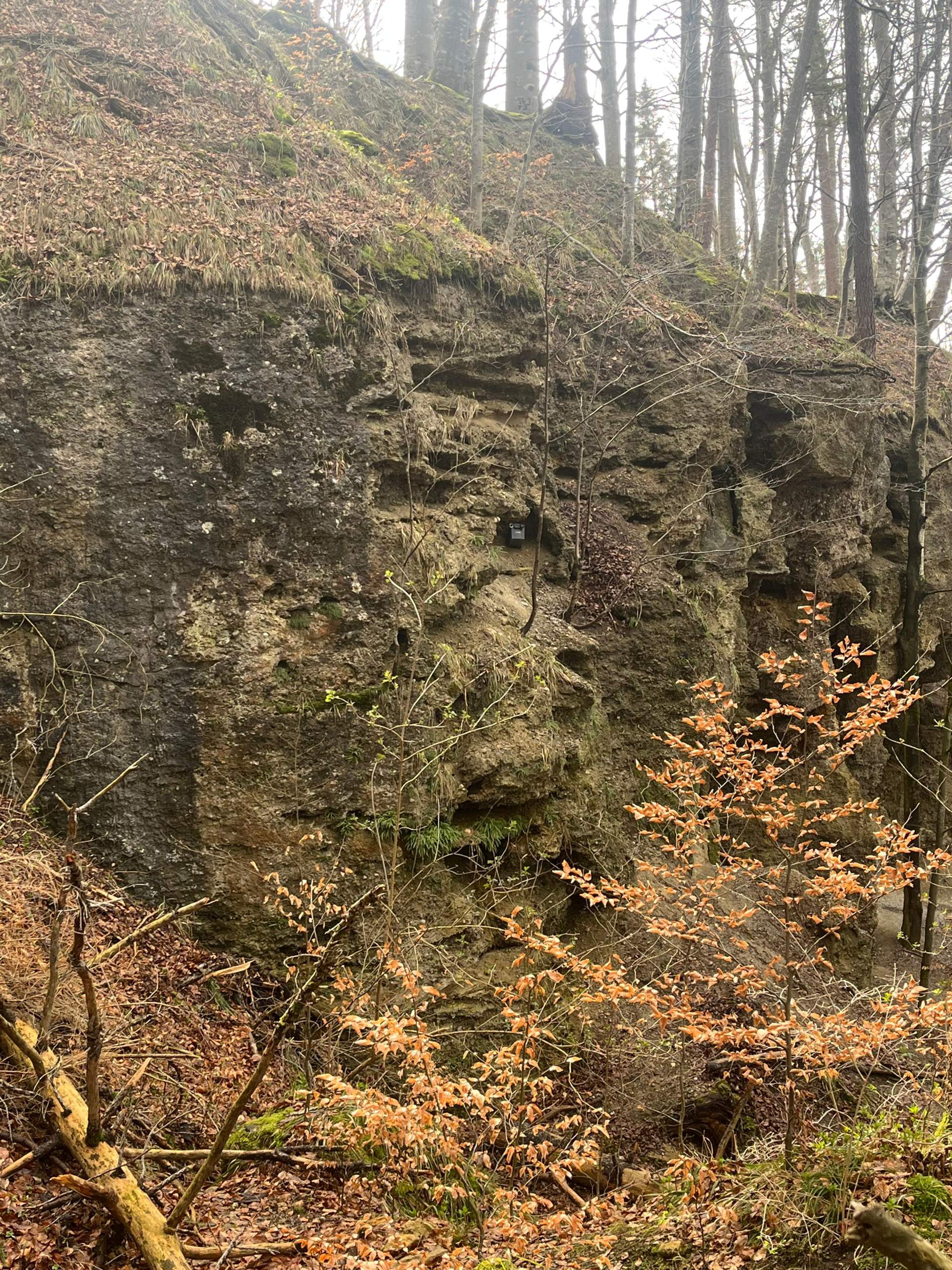 Schwarze Kiste im Wald gefunden - was könnte das sein? (Jagd ...