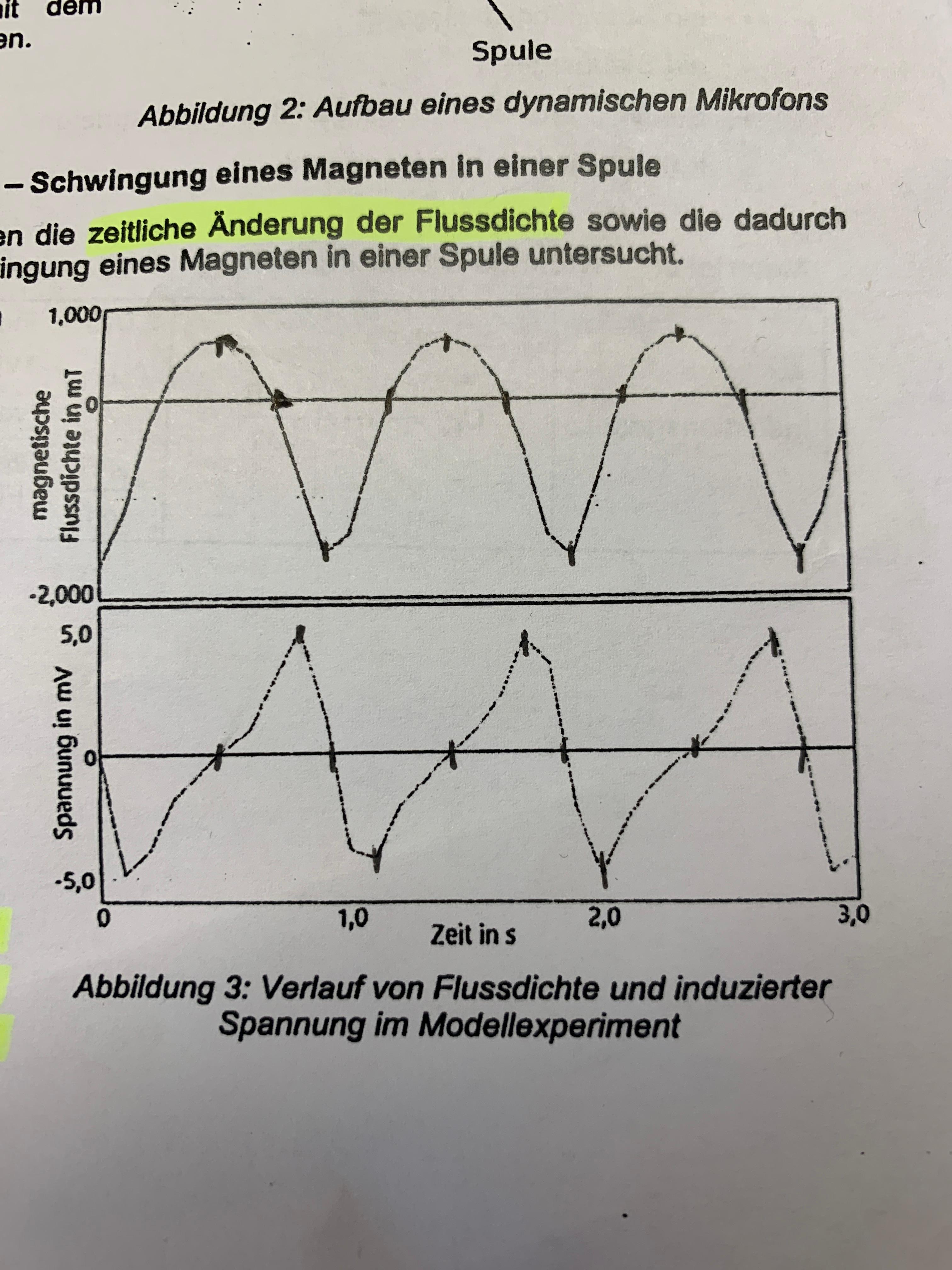 Schwingung eines Magneten in einer Spule? (Schule, Physik, Magnet)