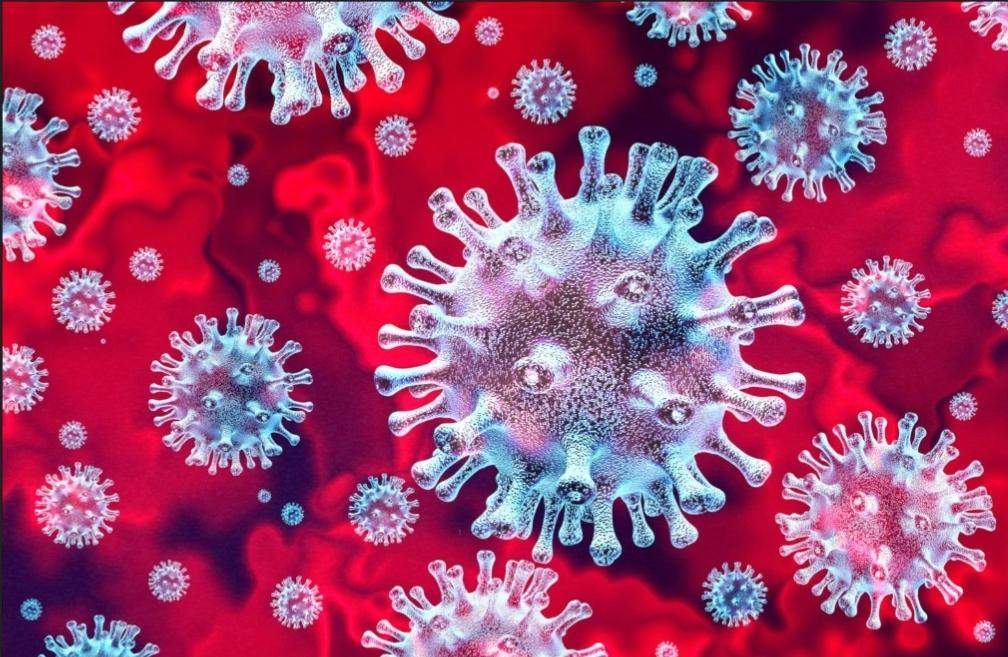 Sehen viren wirklich so aus 👇🏻? (Krankheit, Virus, Kopfschmerzen)