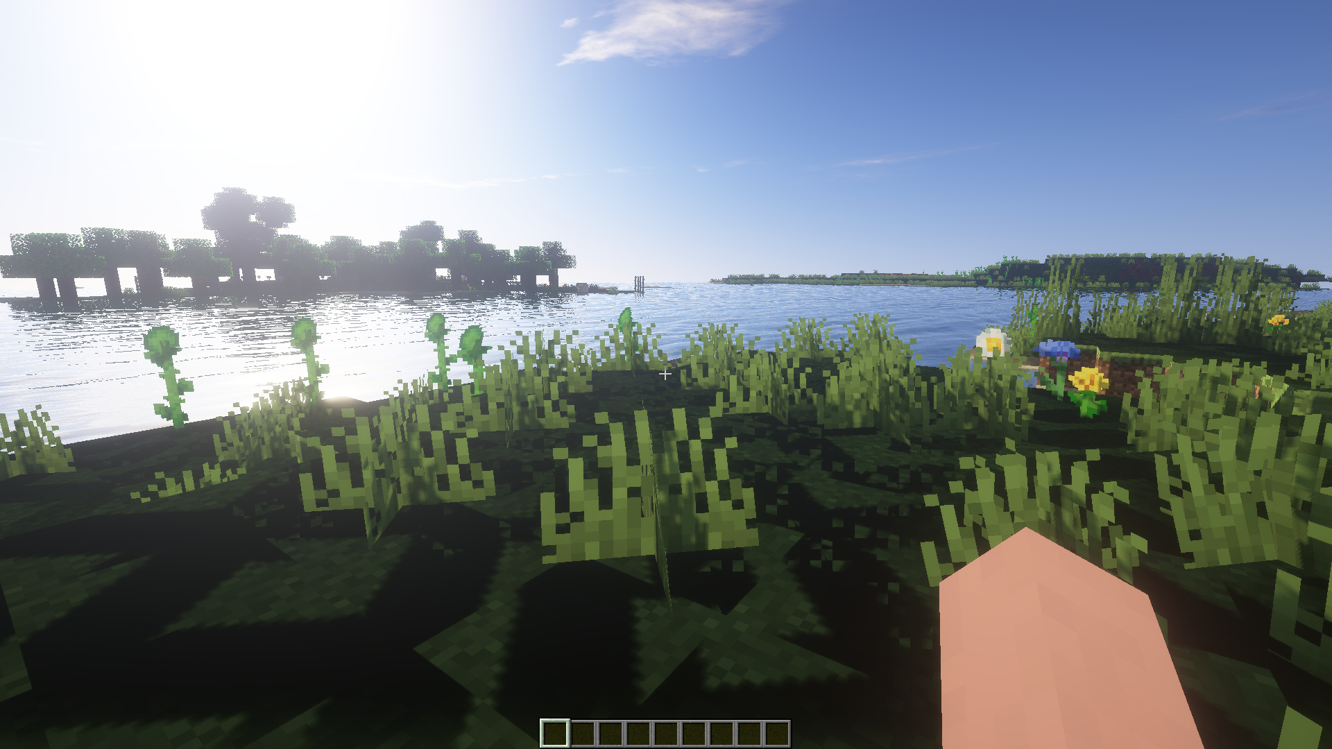 Seus Shader ist mit Optifine verbuggt. Was kann ich dagegen tun ...