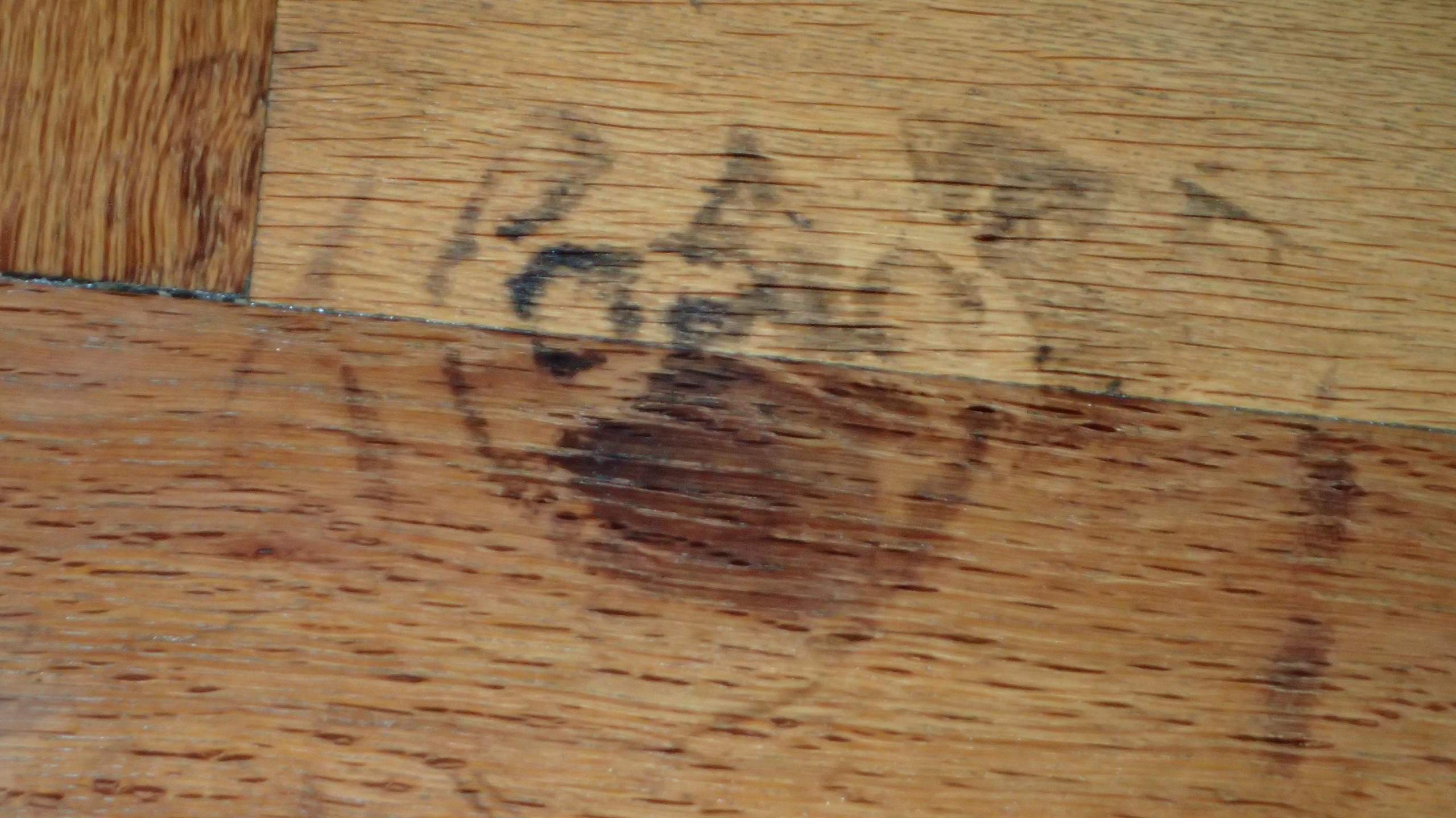 Shampoo ausgelaufen auf geöltem Parkett - nun schwarze Flecken? (Chemie ...