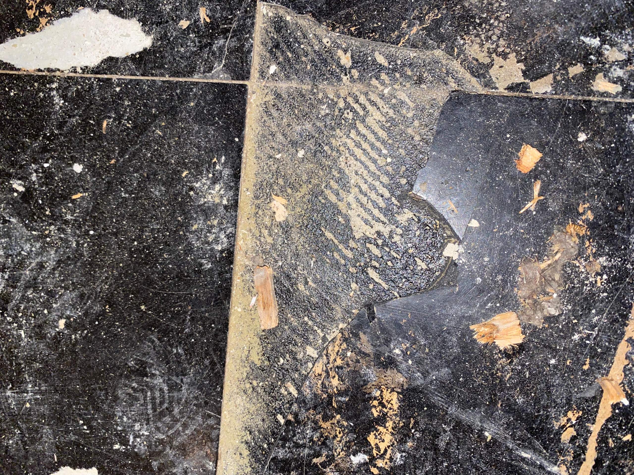 Sind das Floor flex Platten? und ist da Asbest verwendet worden? (Haus, Boden, Bodenbelag)