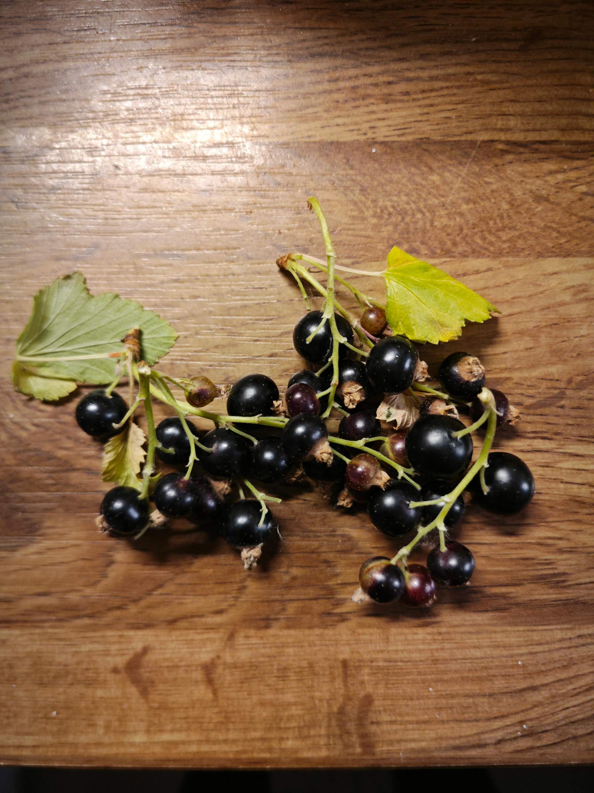 Sind die Beeren giftig? (Pflanzen, Garten, Obst)