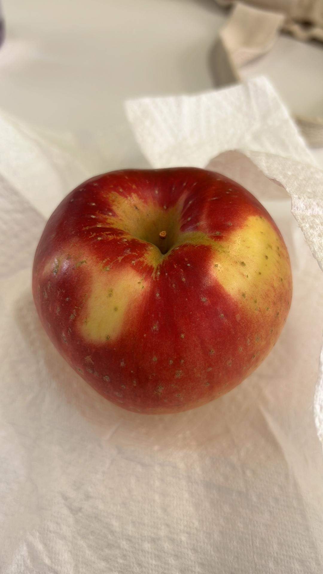 Sind die kleinen braunen Punkte normal (Apfel)? (Essen, Früchte)