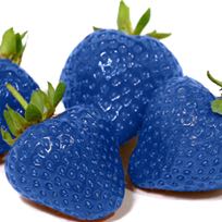 Sind diese Blauen Erdbeeren echt? (Fake, blau)