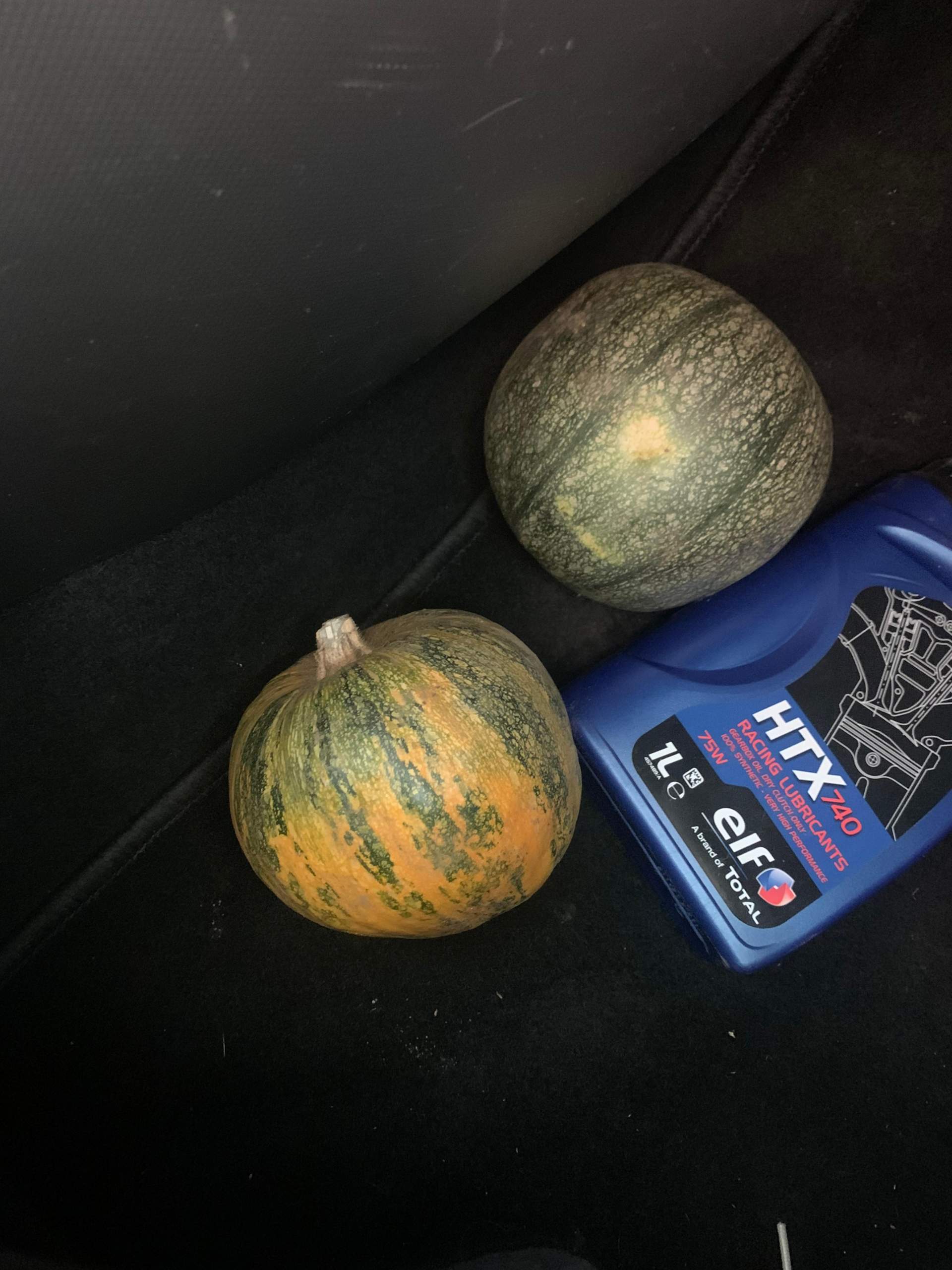 Sind diese Kürbisse essbar? (Garten, Gemüse, Herbst)