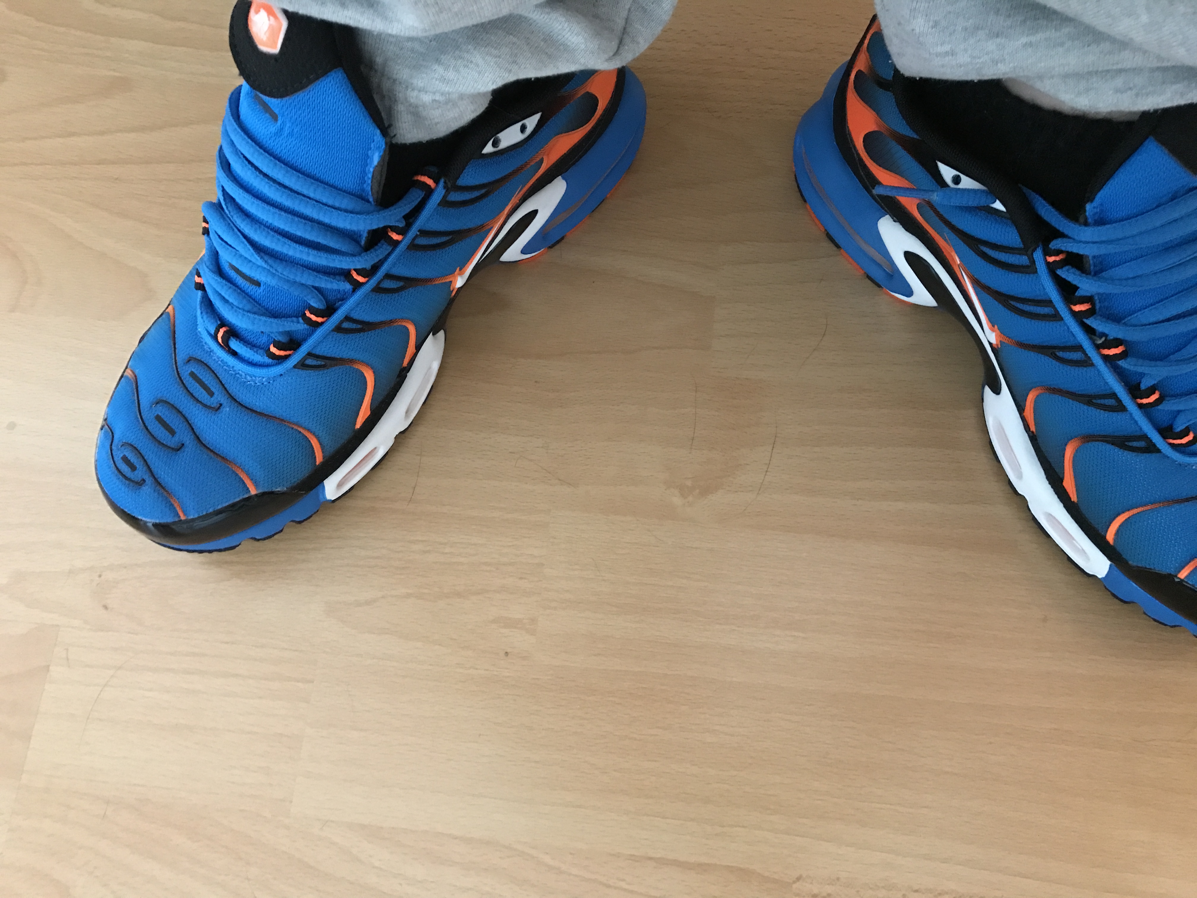 Sind diese Nike TN echt oder fake? (Mode, Schuhe, Schufa)