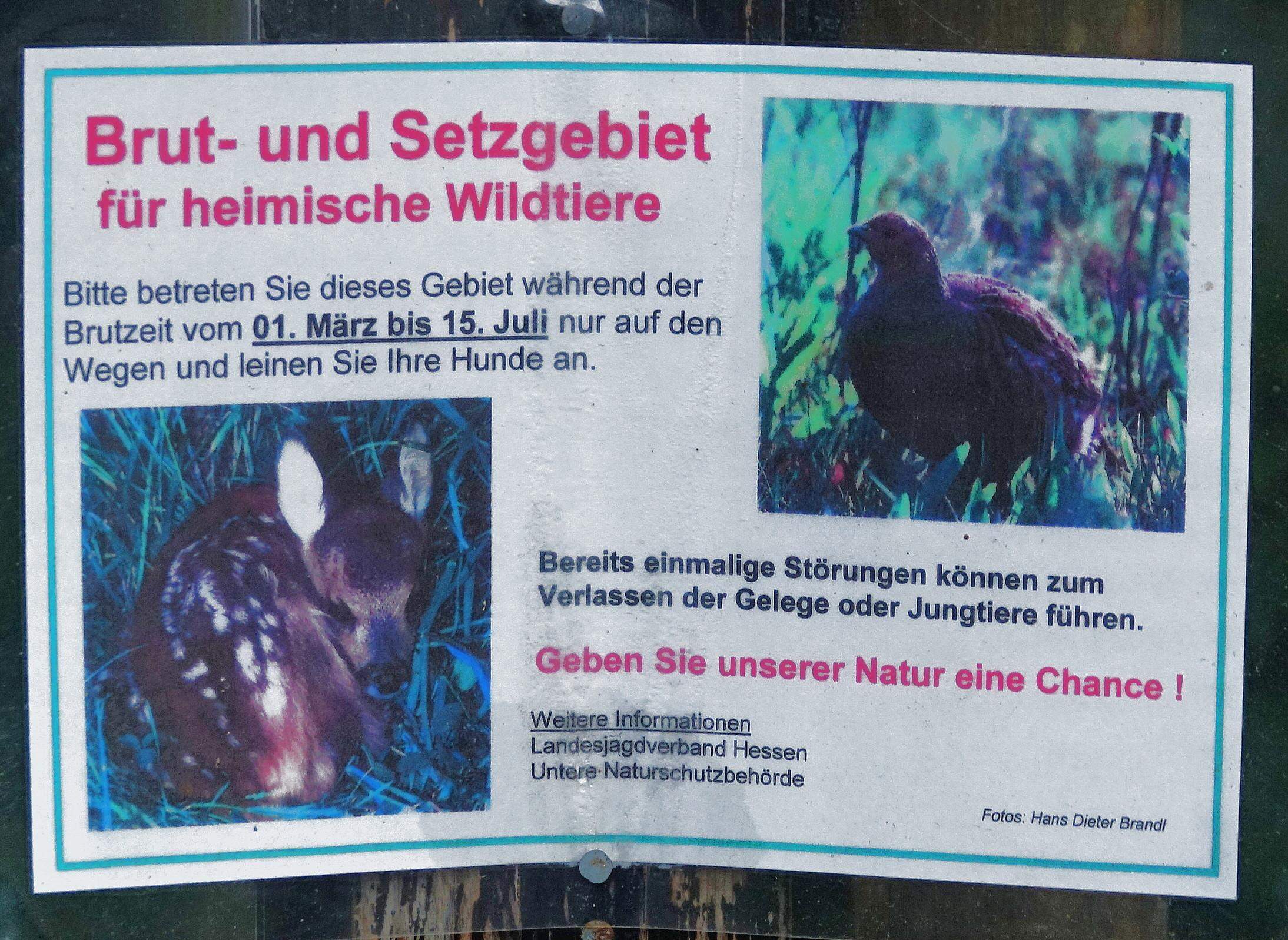 Sind Forstarbeiten mit schwerem Gerät im Wald Ende Juni zulässig ...