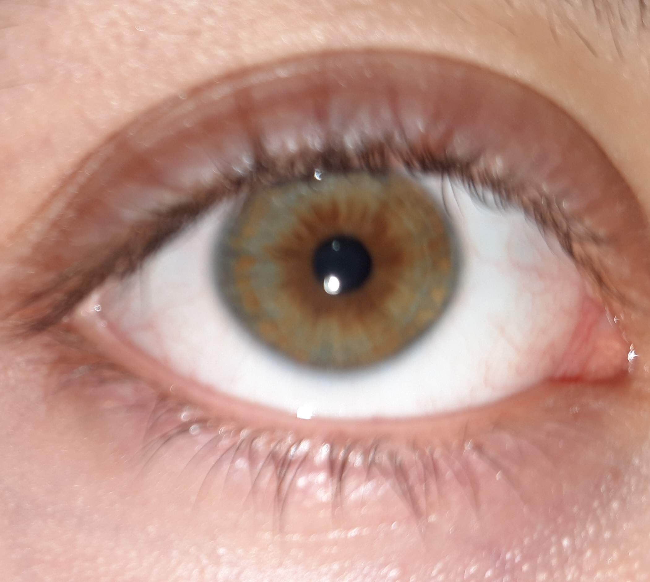 Sind meine Augen grün oder braun? (Augenfarbe)