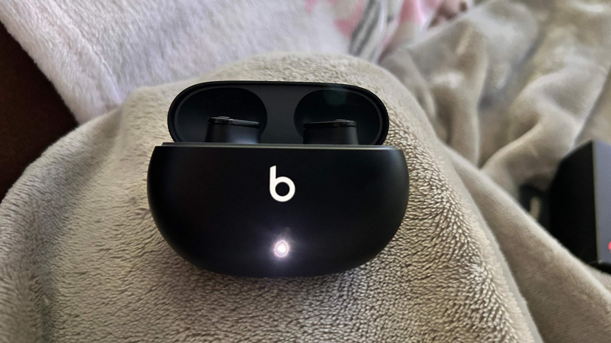 Sind meine Beats Studio Buds echt? (Kopfhörer, Bluetooth)