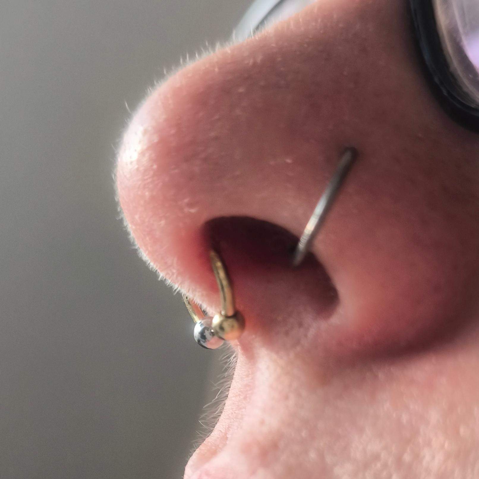 Septum Stechen Wo Genau