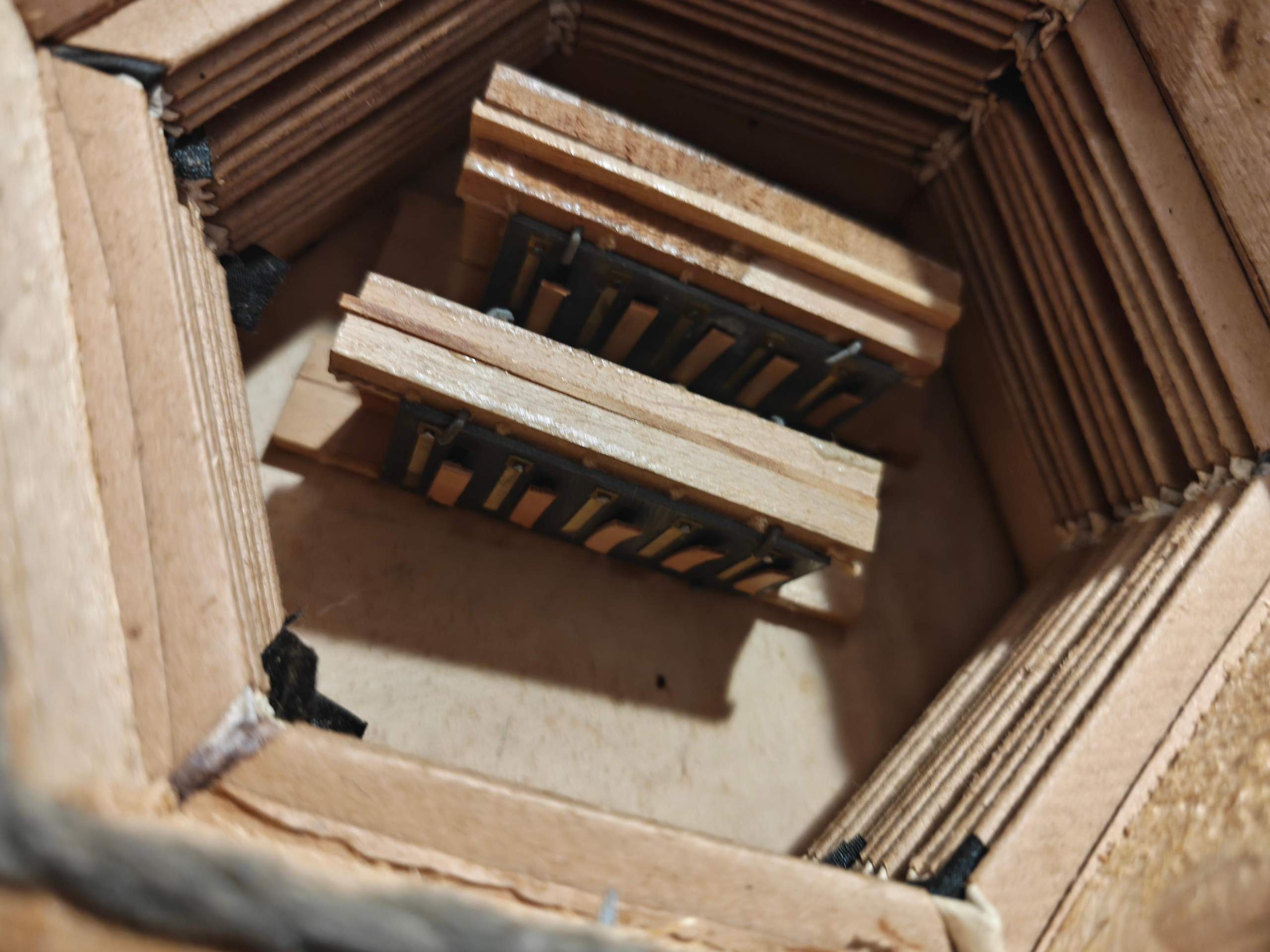 Soll das so an meiner concertina? (Musik, Instrument, reparieren)