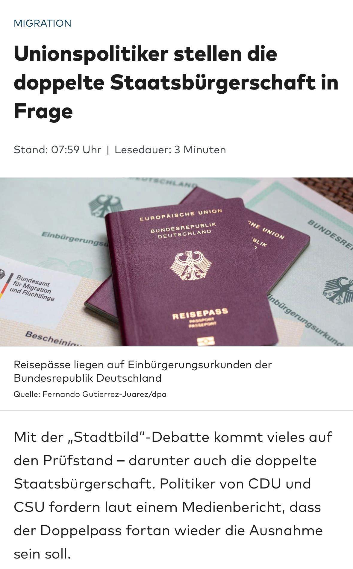 Soll die doppelte Staatsbürgerschaft für Nicht-EU-Ausländer wieder abgeschafft werden? (Türken ...