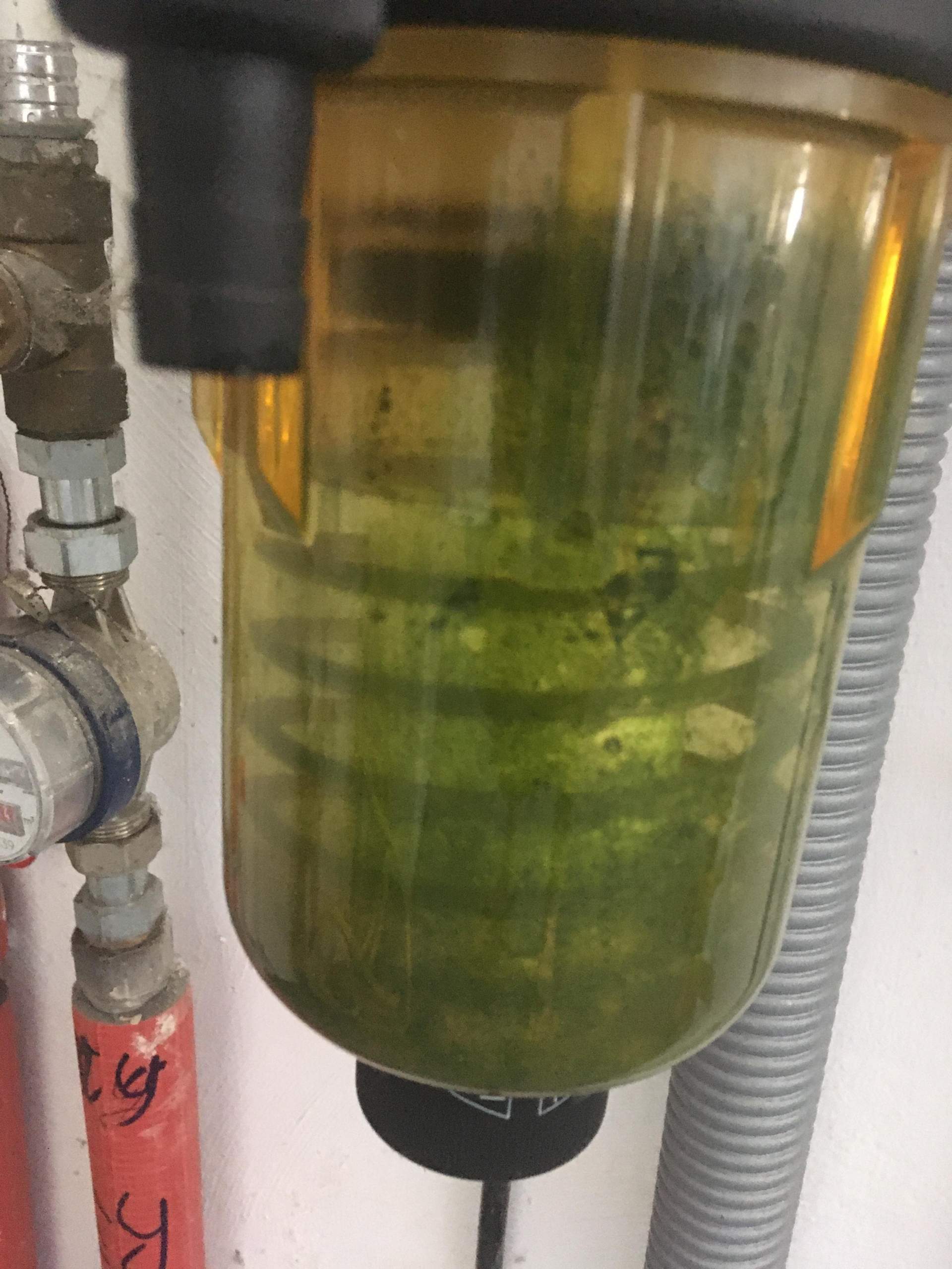 Sollte der Wasserfilter so verschmutzt aussehen? (Technik, Gesundheit ...