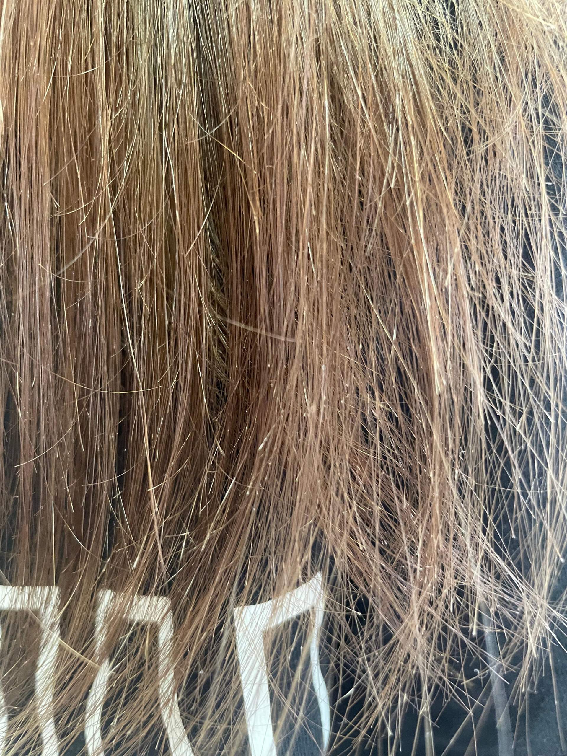 Spliss im kompletten Haar, was tun? (Haare, Friseur)
