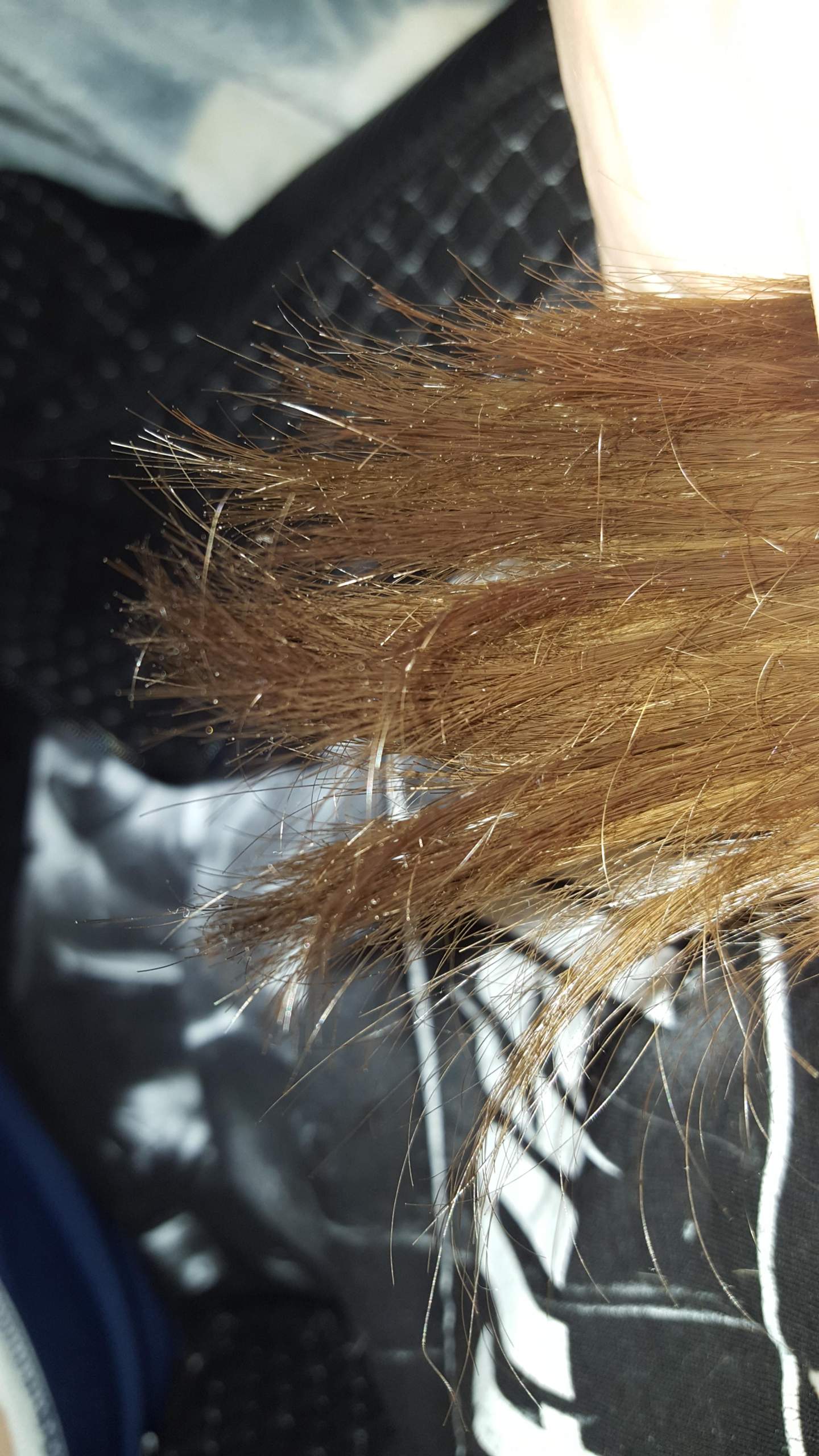 Spliss sehr schlimm? (Haare, Styling, kaputte Haare)