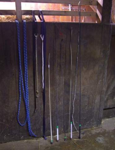 Sporen... (Pferd, Reiten, Reitausrüstung)