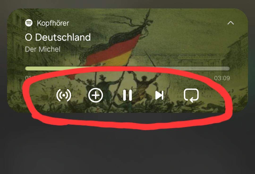 Spotify was bedeuten alle die Zeichen? (Computer, Musik)