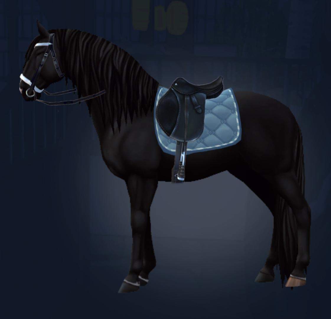 Sso Cluboutfit - Was passt besser? (Pferd, Server, Farbe)