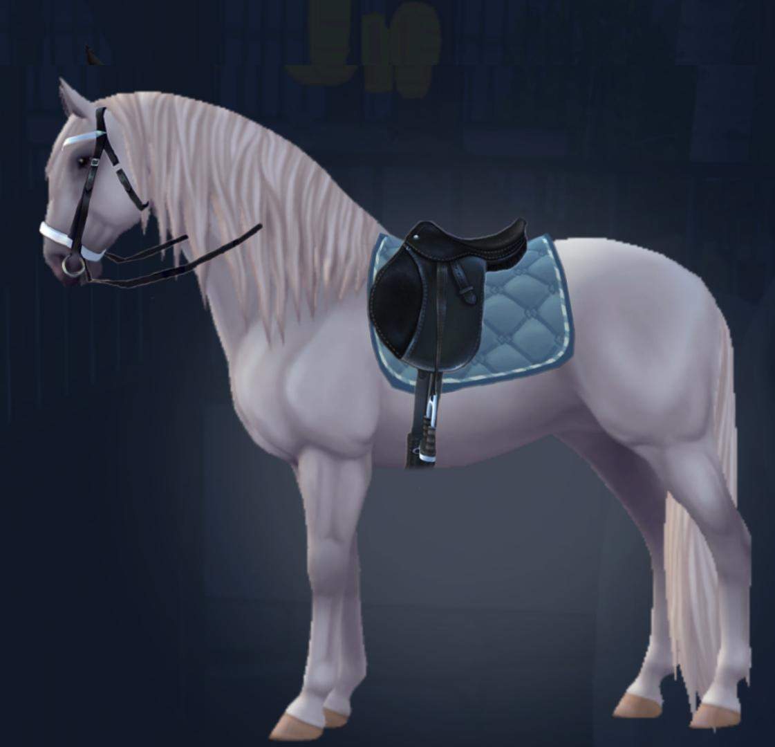 Sso Cluboutfit - Was passt besser? (Pferd, Server, Farbe)