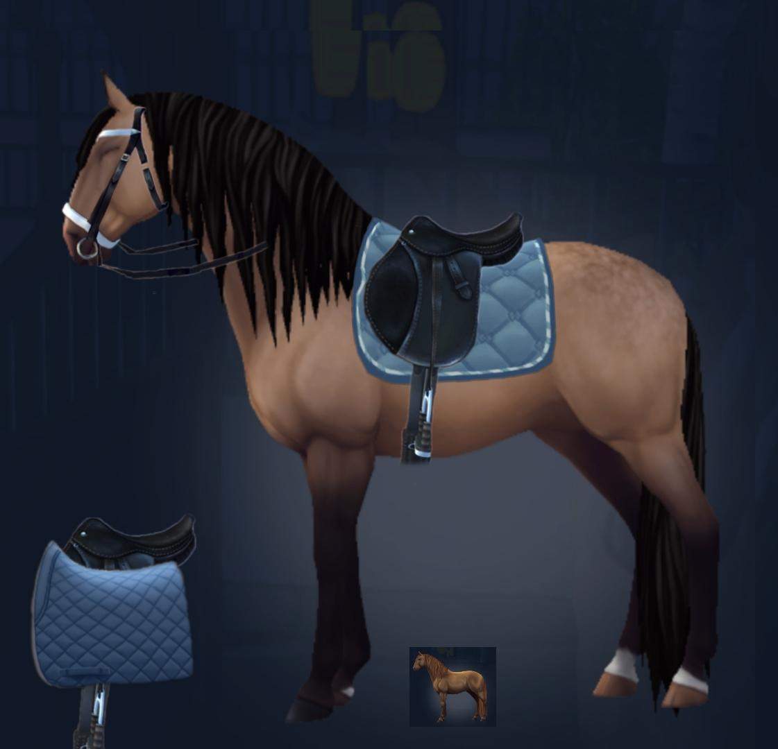 Sso Cluboutfit - Was passt besser? (Pferd, Server, Farbe)