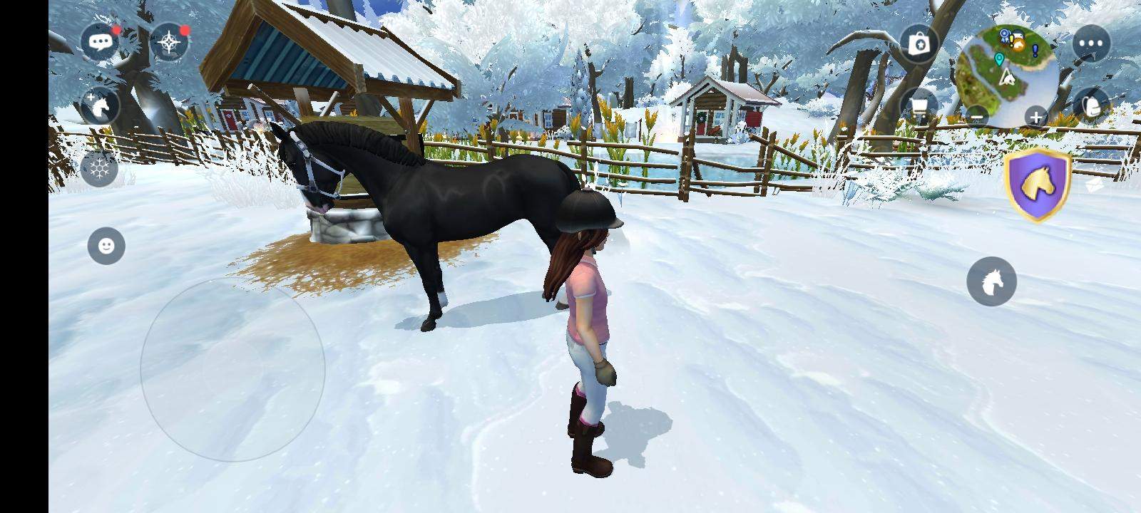 SSo Pferde Rasse? (PC, Computerspiele, Server)