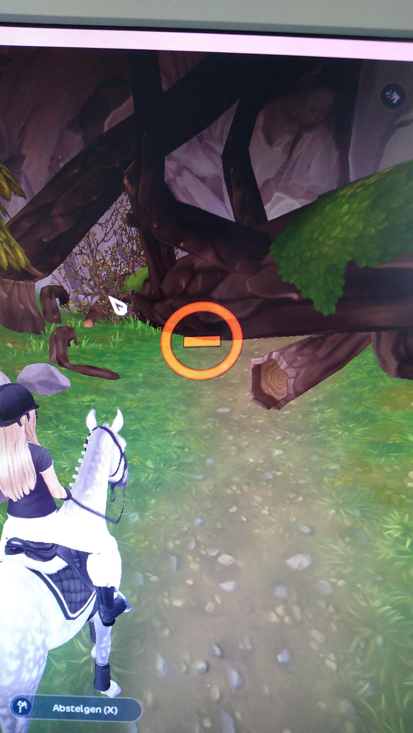 (SSO)Wie kann das sein? (PC, Star Stable)