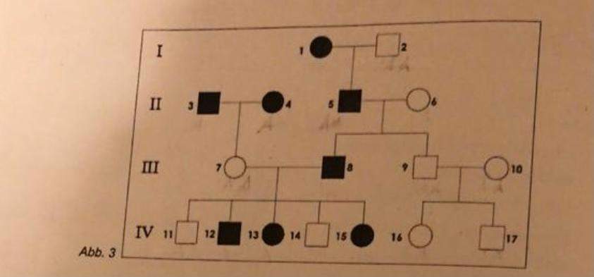 Stammbaum Vererbung? (Biologie)