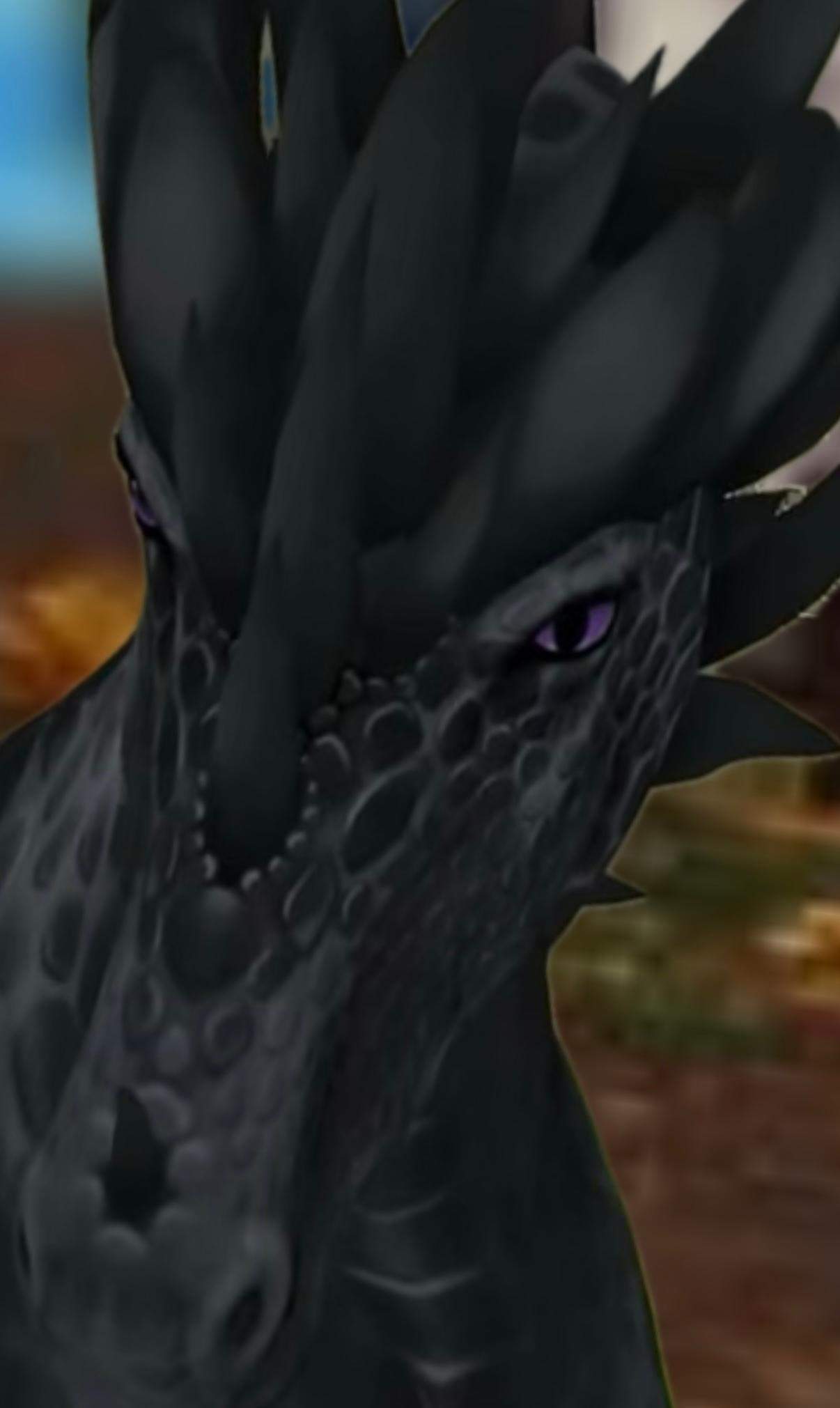 Star Stable: Rhyme und Keima: was haltet ihr von ihnen? (Computerspiele ...