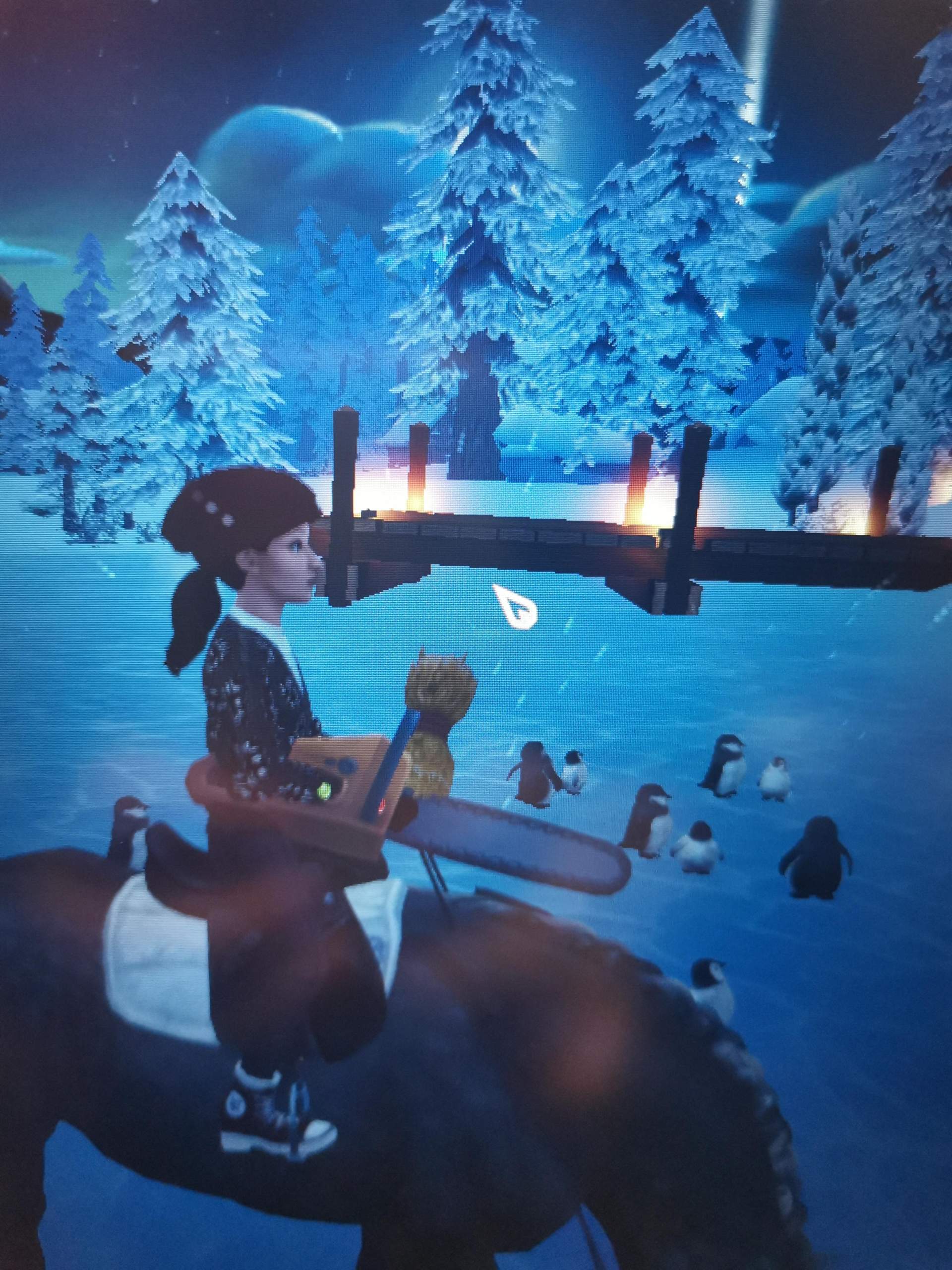 Starstable Bug? (Computerspiele, Pferd, Star Stable)