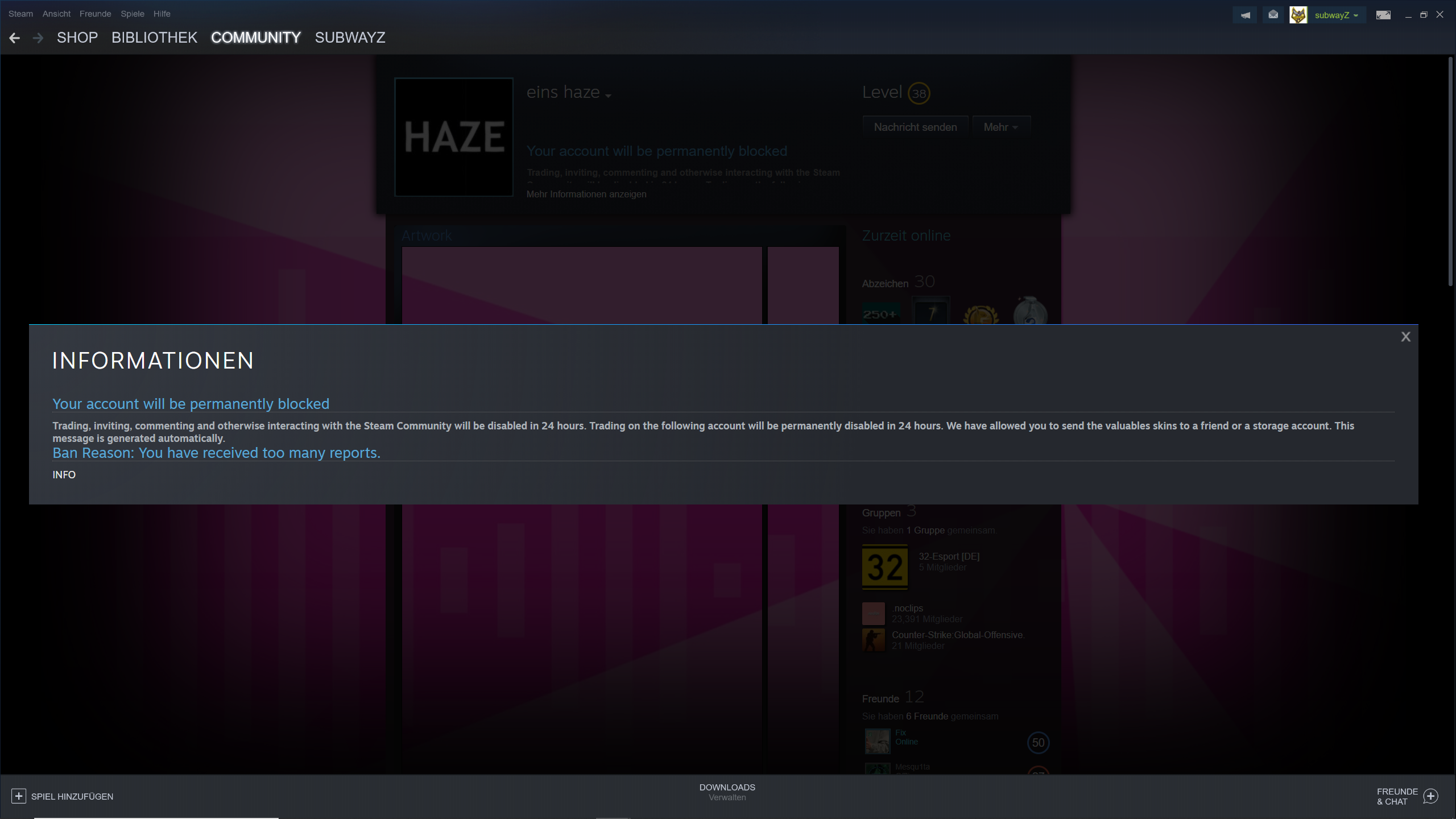 Steam acc ban in 24 Stunden? (Computer, Technik, Spiele und Gaming)