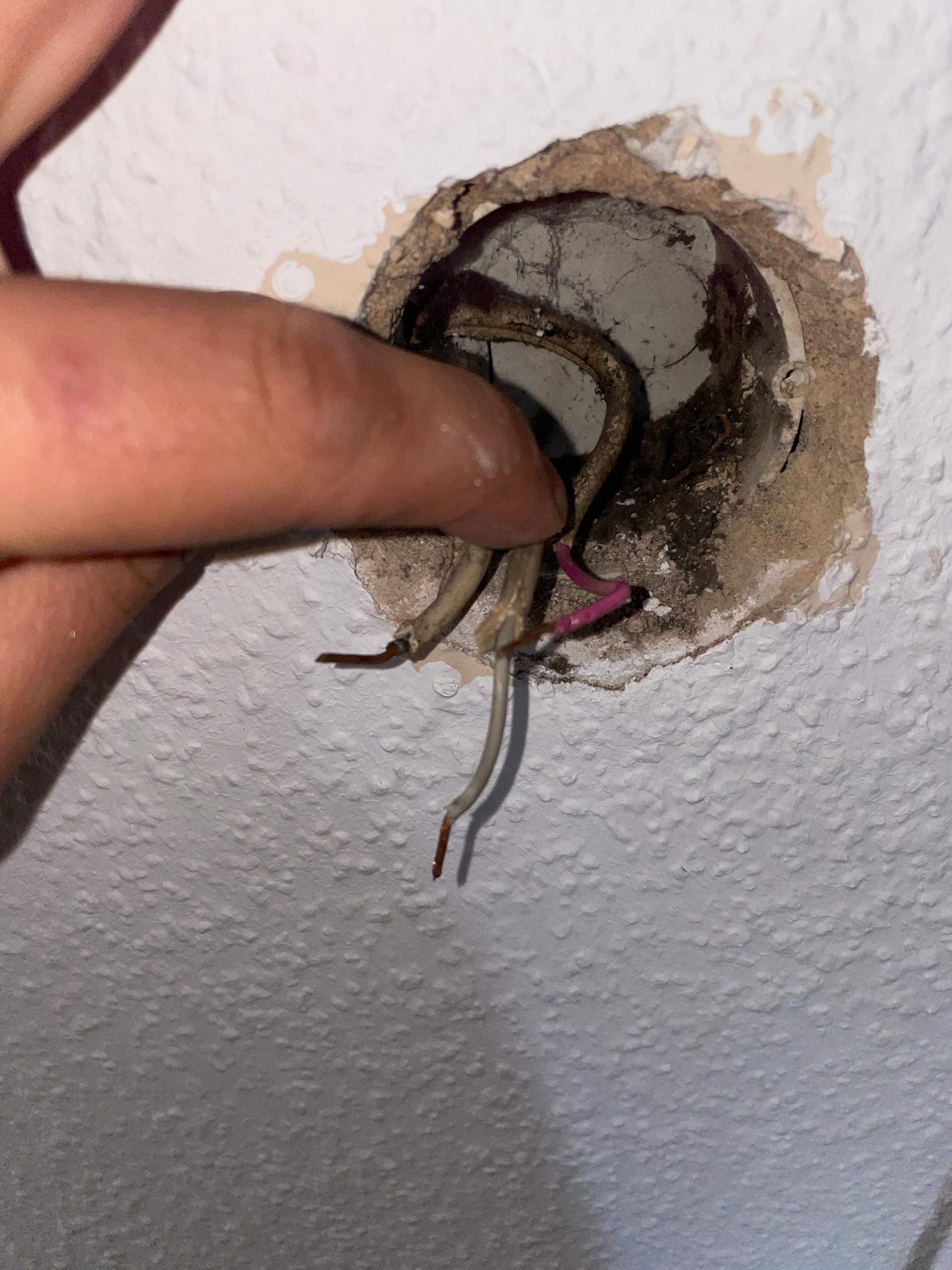 Steckdose installieren welches kabel wohin? (Internet, Strom, Elektrik)