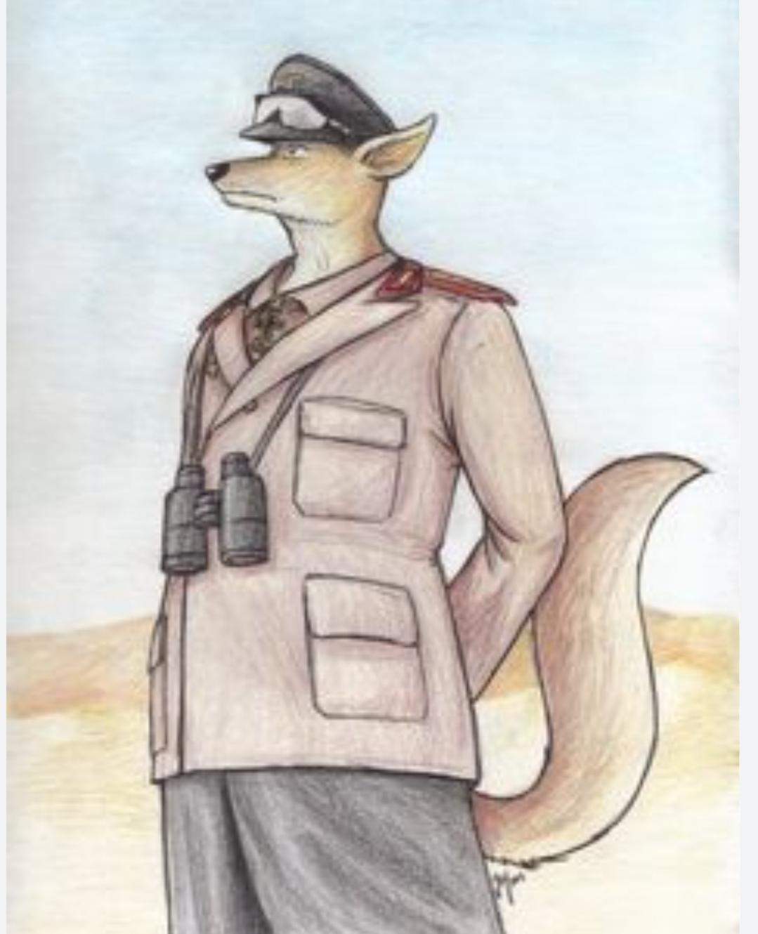 Stimmt es, dass Erwin Rommel ein Furry war? (Nazi, Nordafrika)